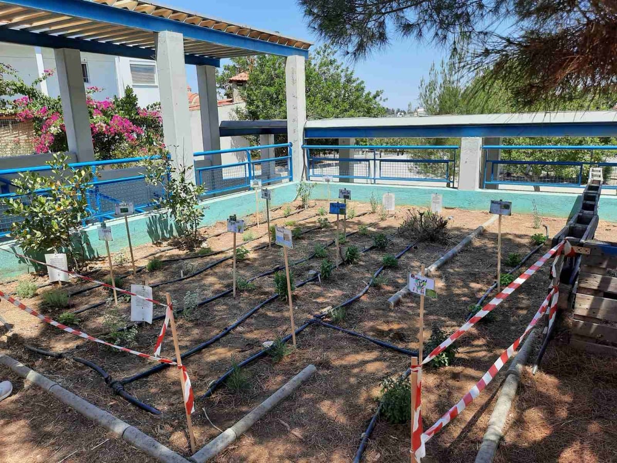 Διαχείριση απορριμμάτων και εξωραϊσμός της αυλής – Τηγανοκίνηση