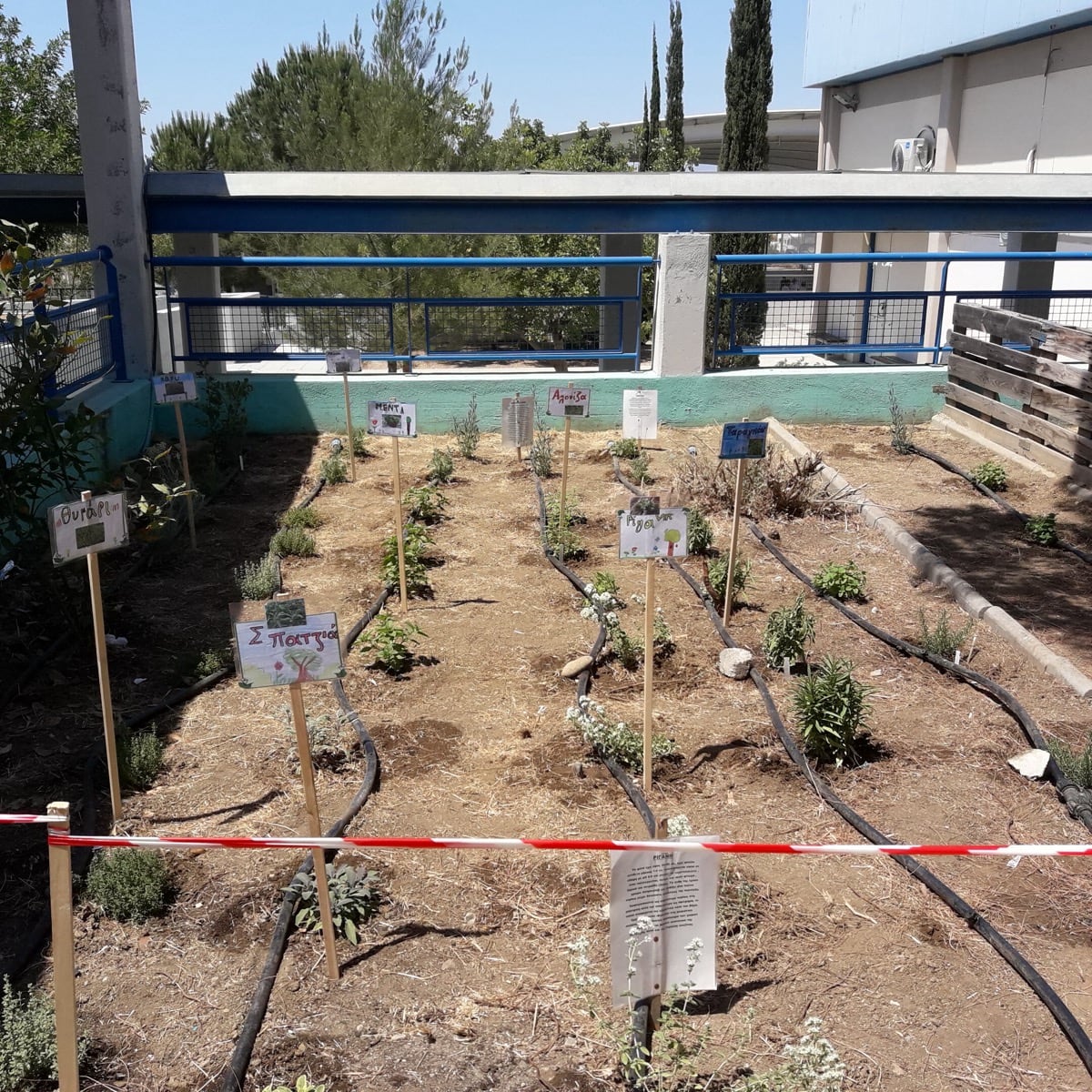 Διαχείριση απορριμμάτων και εξωραϊσμός της αυλής – Τηγανοκίνηση